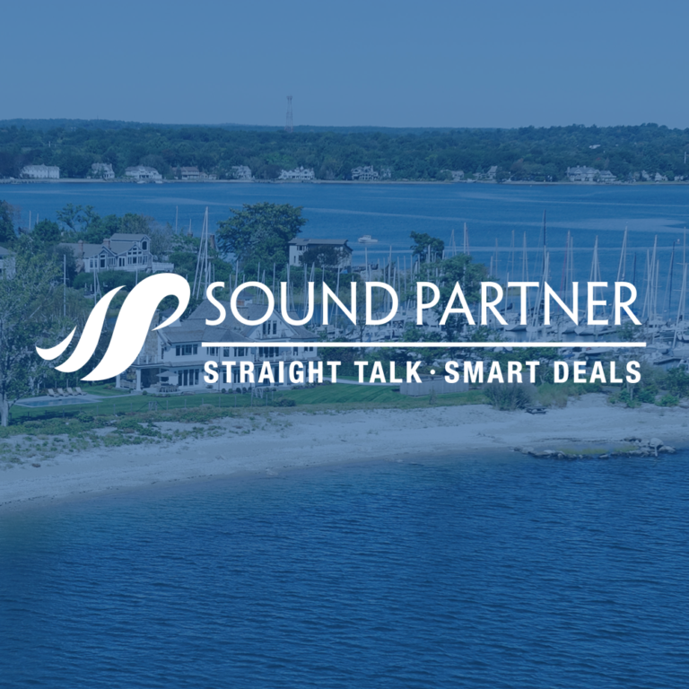 Sound Partner - Logo Design - Wallfrog Marketing Agency