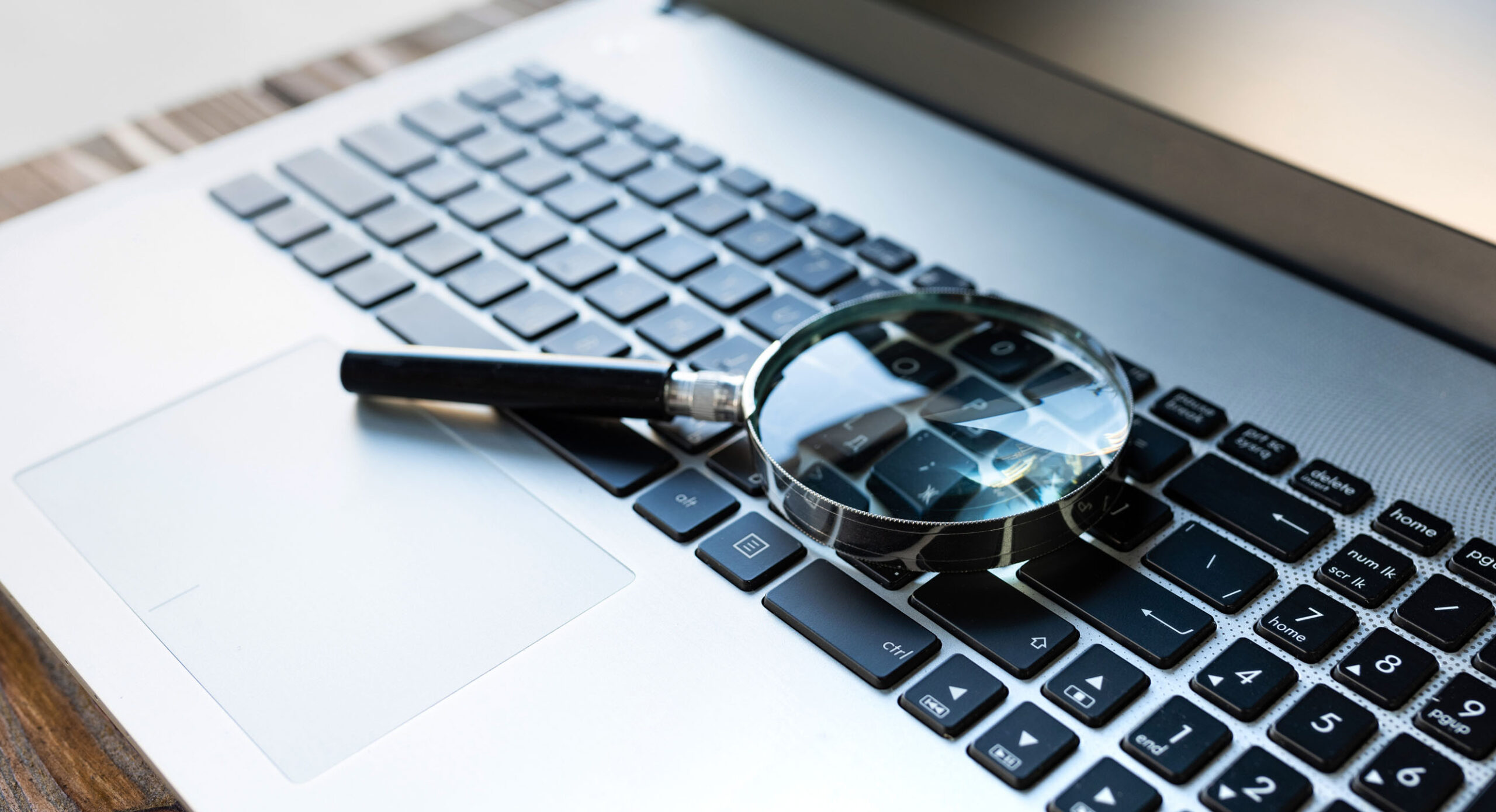 SEO Services in FL & CT | Search Engine Optimization